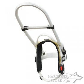 Best Guide Dog Harnesses in UK for Mobility Assistance