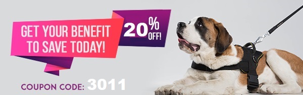 CYBER MONDAY Starts NOW! 20% OFF on Everything! : Dog walking harness ...